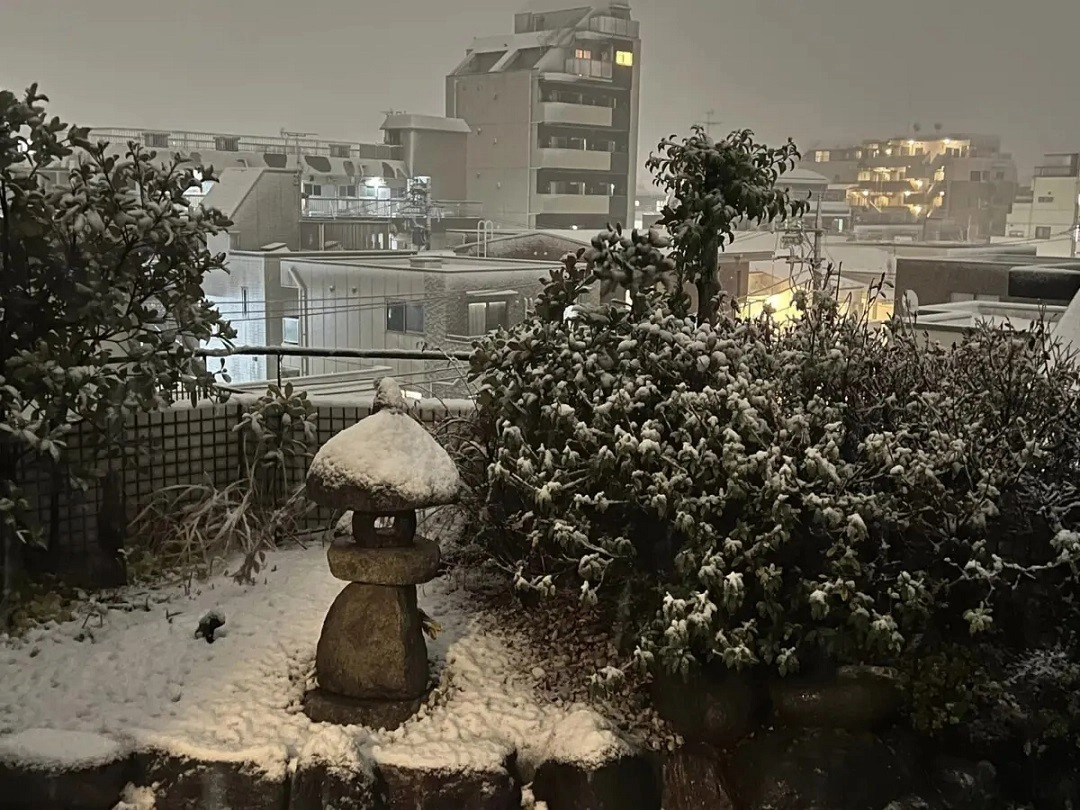 Χιονοθύελλες στην κεντρική Ιαπωνία, ακόμη και το Τόκιο καλυμμένο με χι